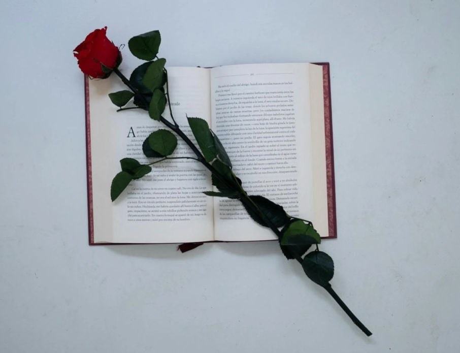 The Baby Bat's Guide to Gothic Novels – Goth Persona